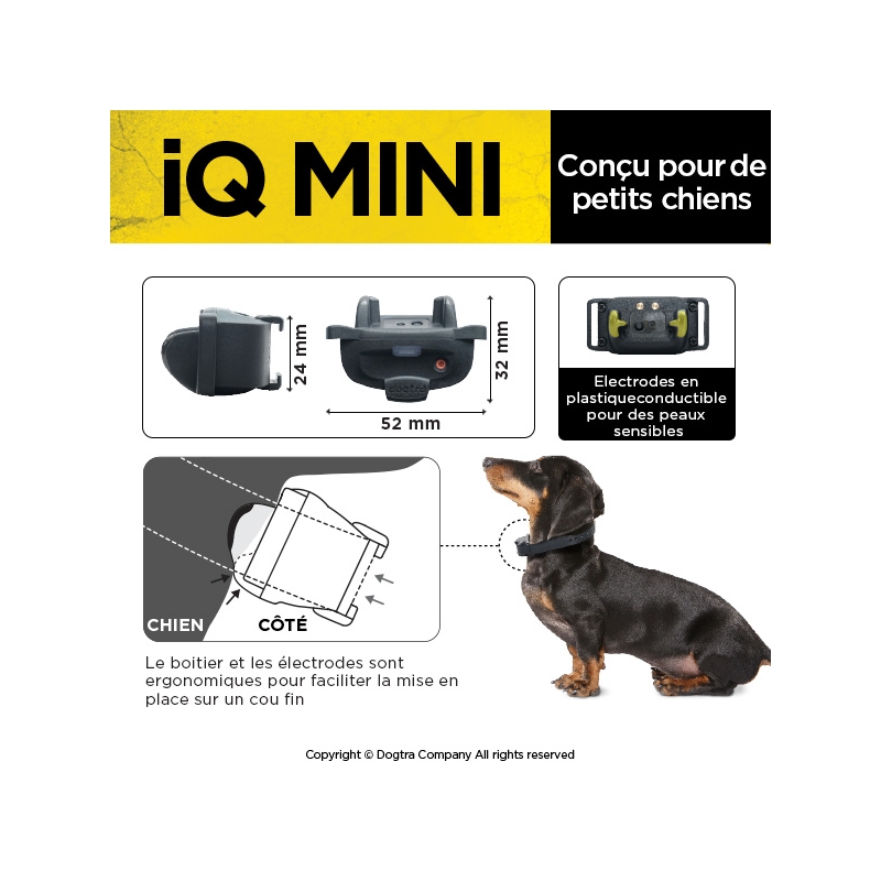 IQ MINI (new) – Dogtra Baltic