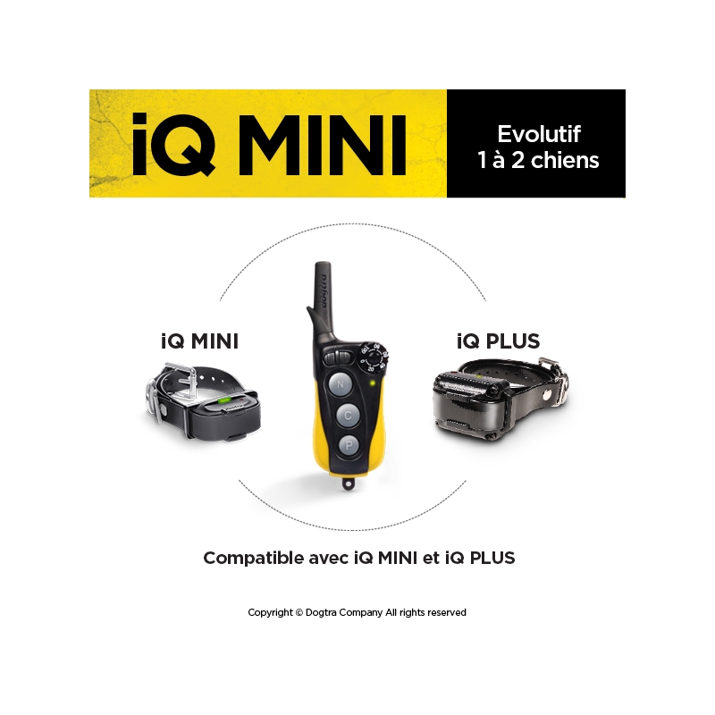 IQ MINI (new) – Dogtra Baltic