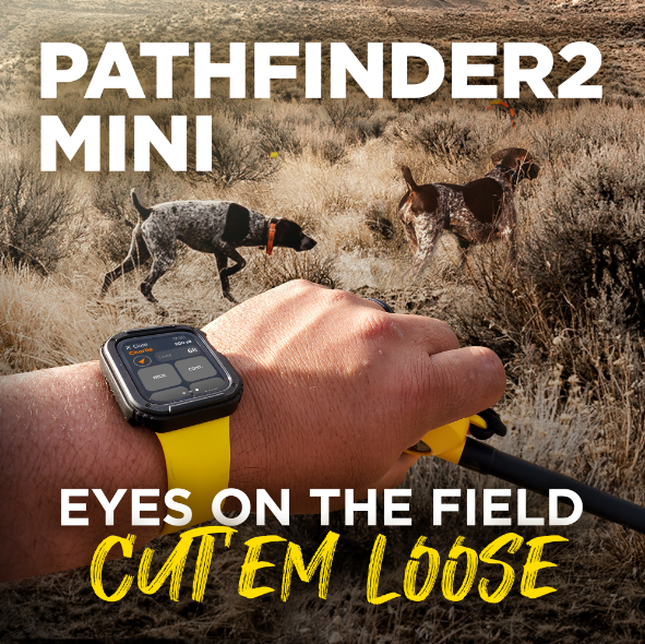 PATHFINDER 2 MINI – Dogtra Baltic