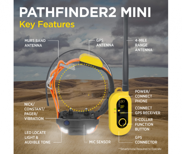 PATHFINDER 2 MINI – Dogtra Baltic