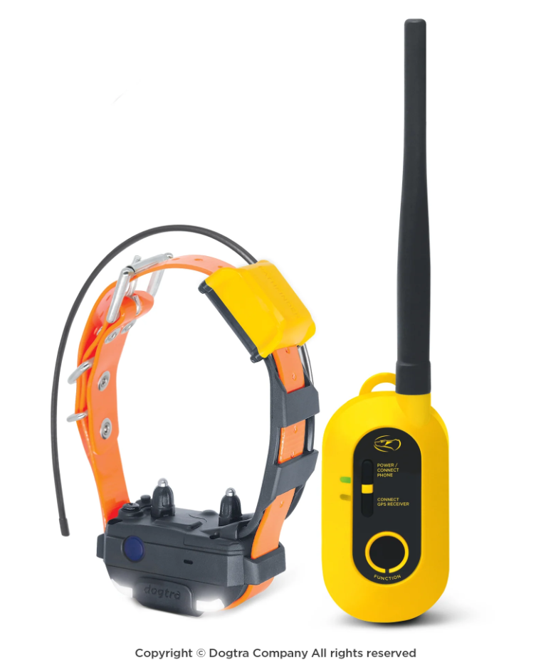 PATHFINDER 2 MINI – Dogtra Baltic